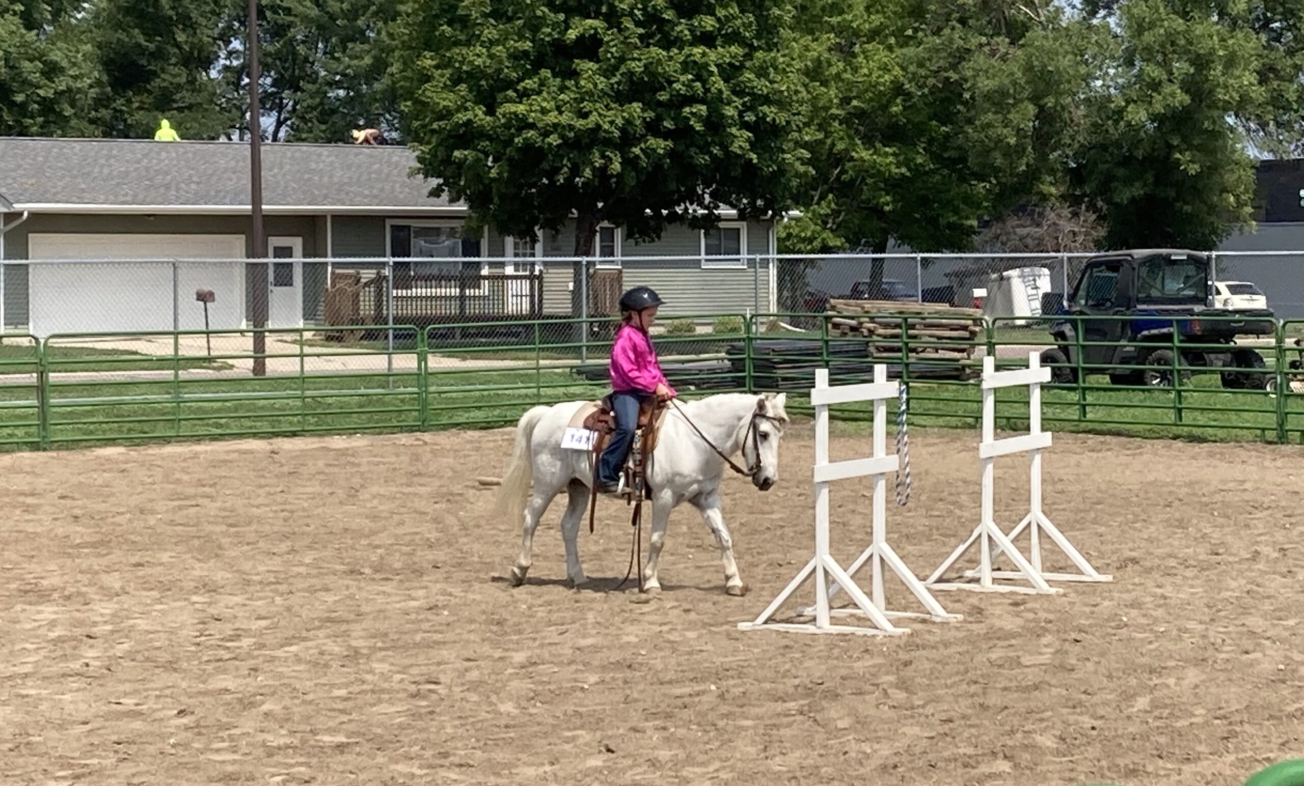 4-H Horse Show starts animal shows at Brown County Fair | News, Sports ...